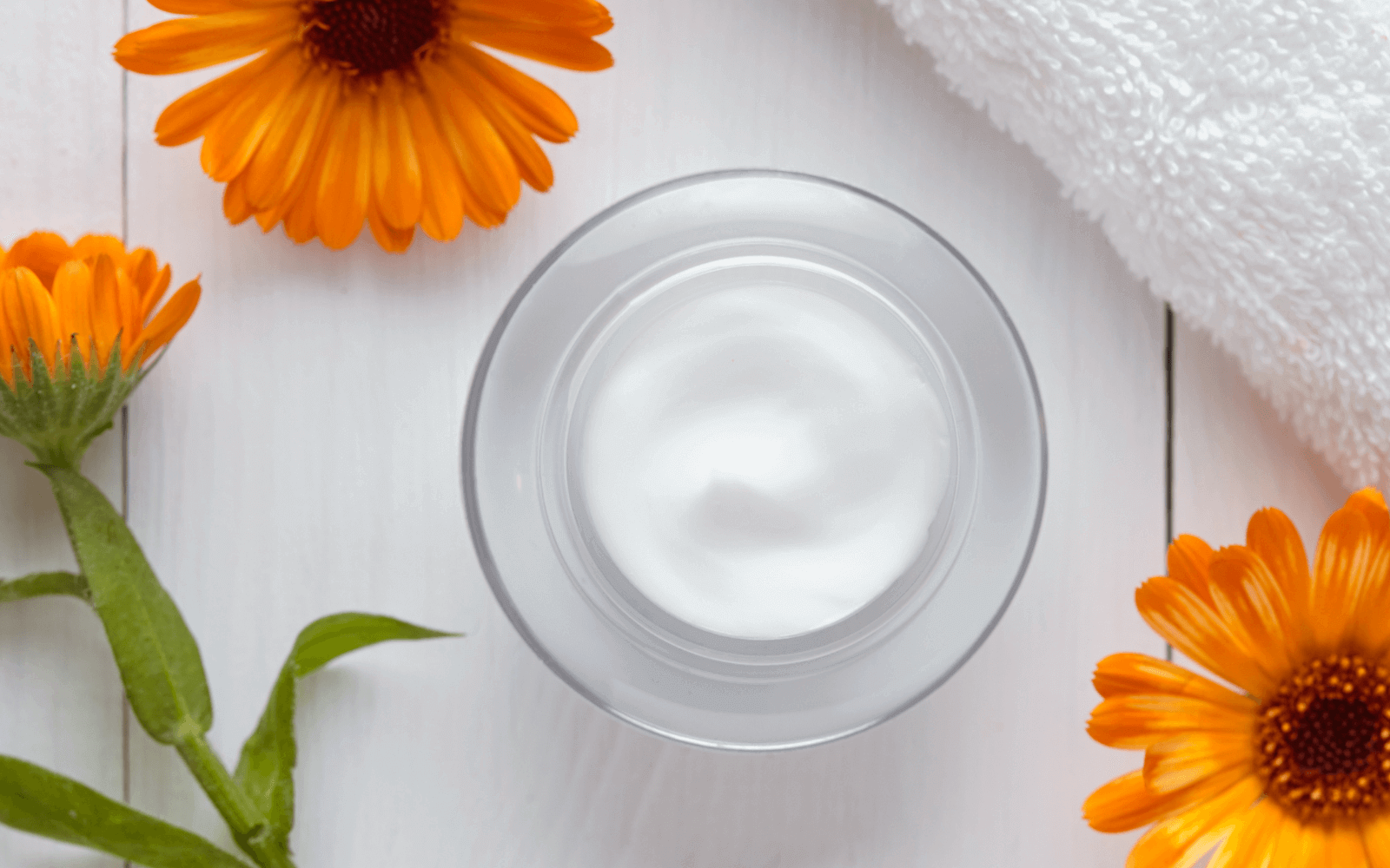 Buy Dried Elder Flowers (Sambuci flores) - Bulk Online - Essentially ...