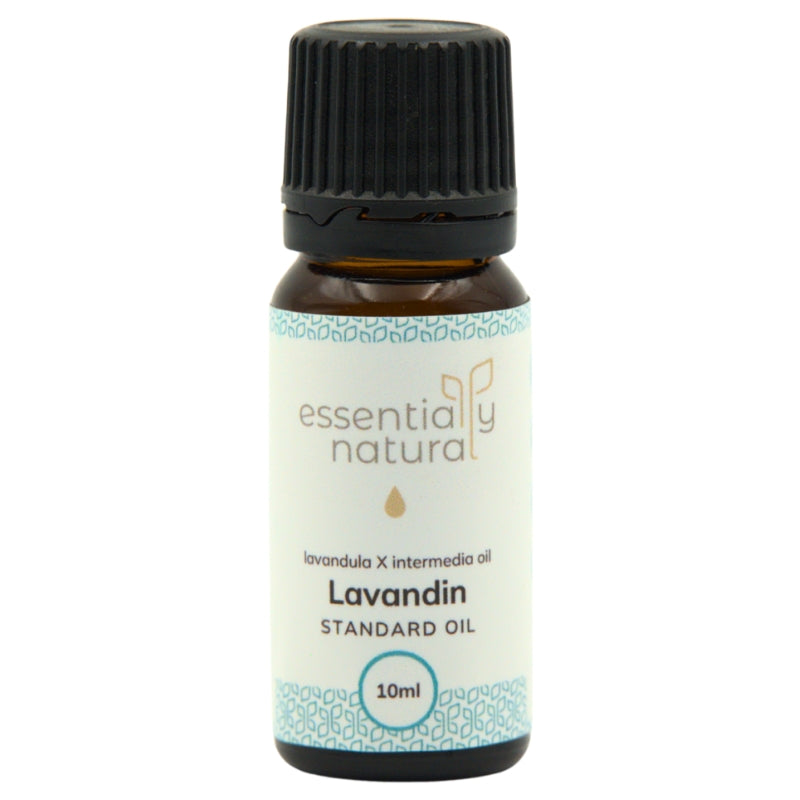 Buy Lavandin Essential Oil Standardised | Essentially Natural