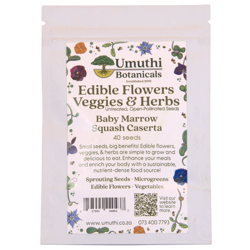 Umuthi Baby Marrow Seeds – Essentially Natural
