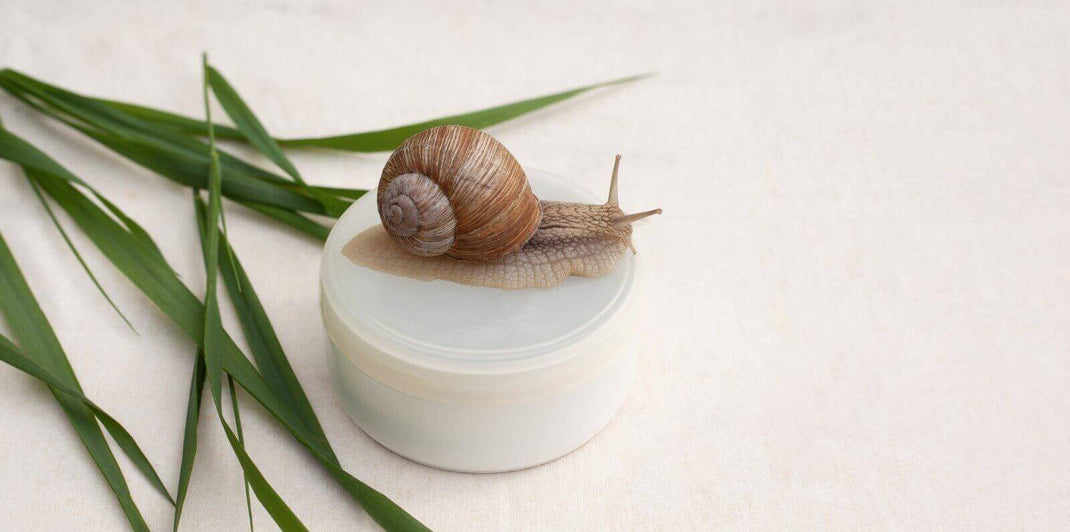 How to make your own Vegan Snail Gel – Essentially Natural